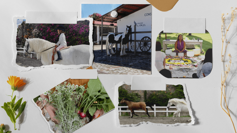 Inicio - Centro Holístico para el Desarrollo Humano